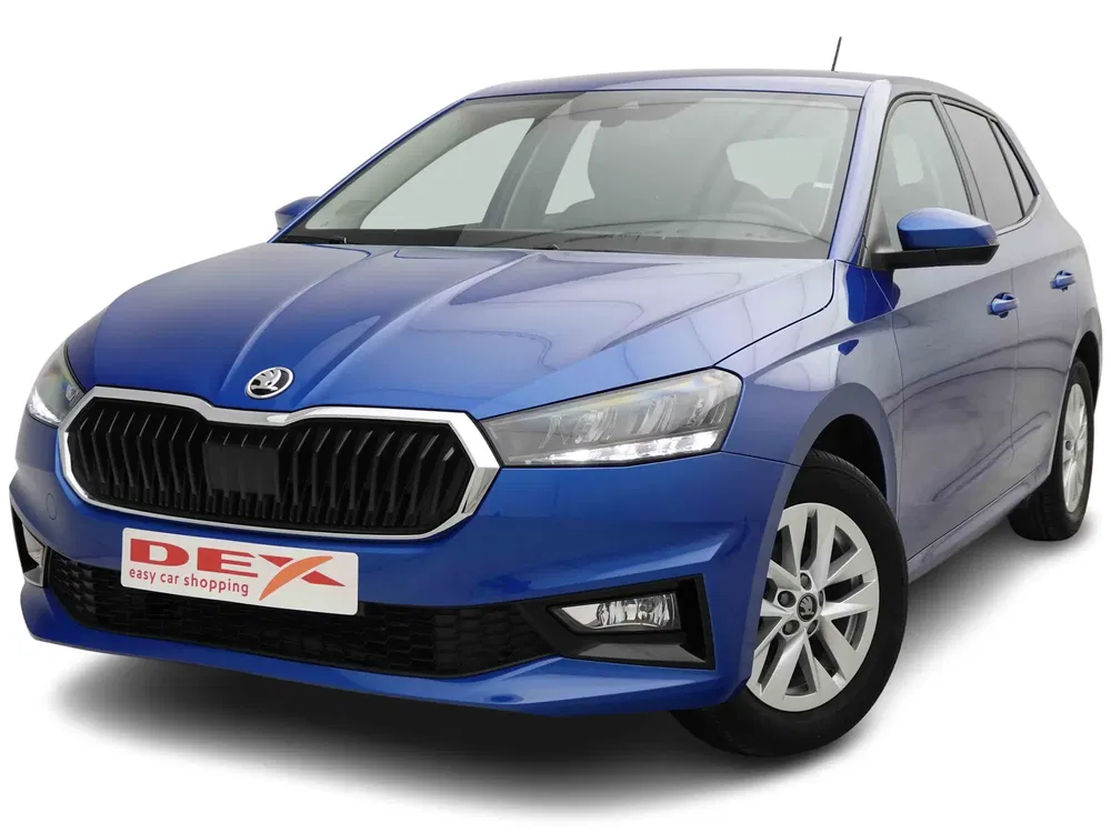 Škoda Fabia in Hooglede I 13050 km I 18495